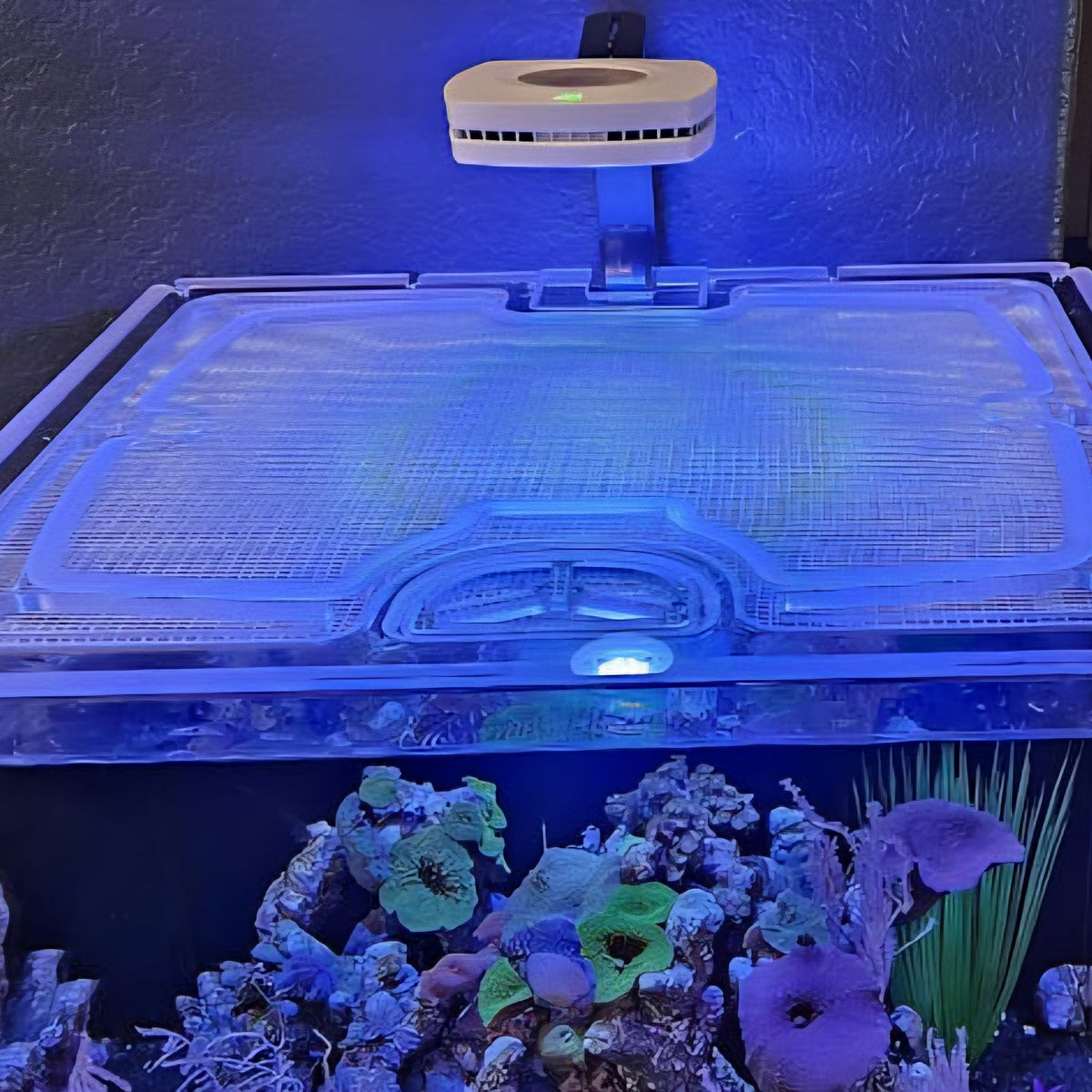 Red Sea Reefer 170 G1 and G2+ Aquarium Top Lid – Top Lids