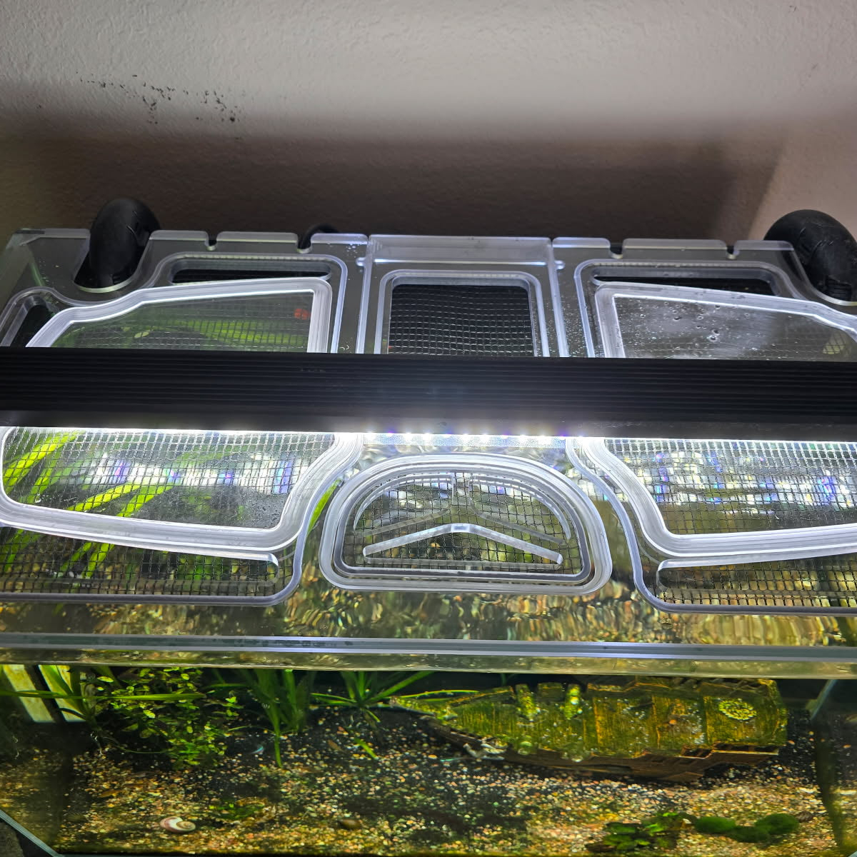 Waterbox Clear Mini 6 Aquarium Top Lid – Top Lids