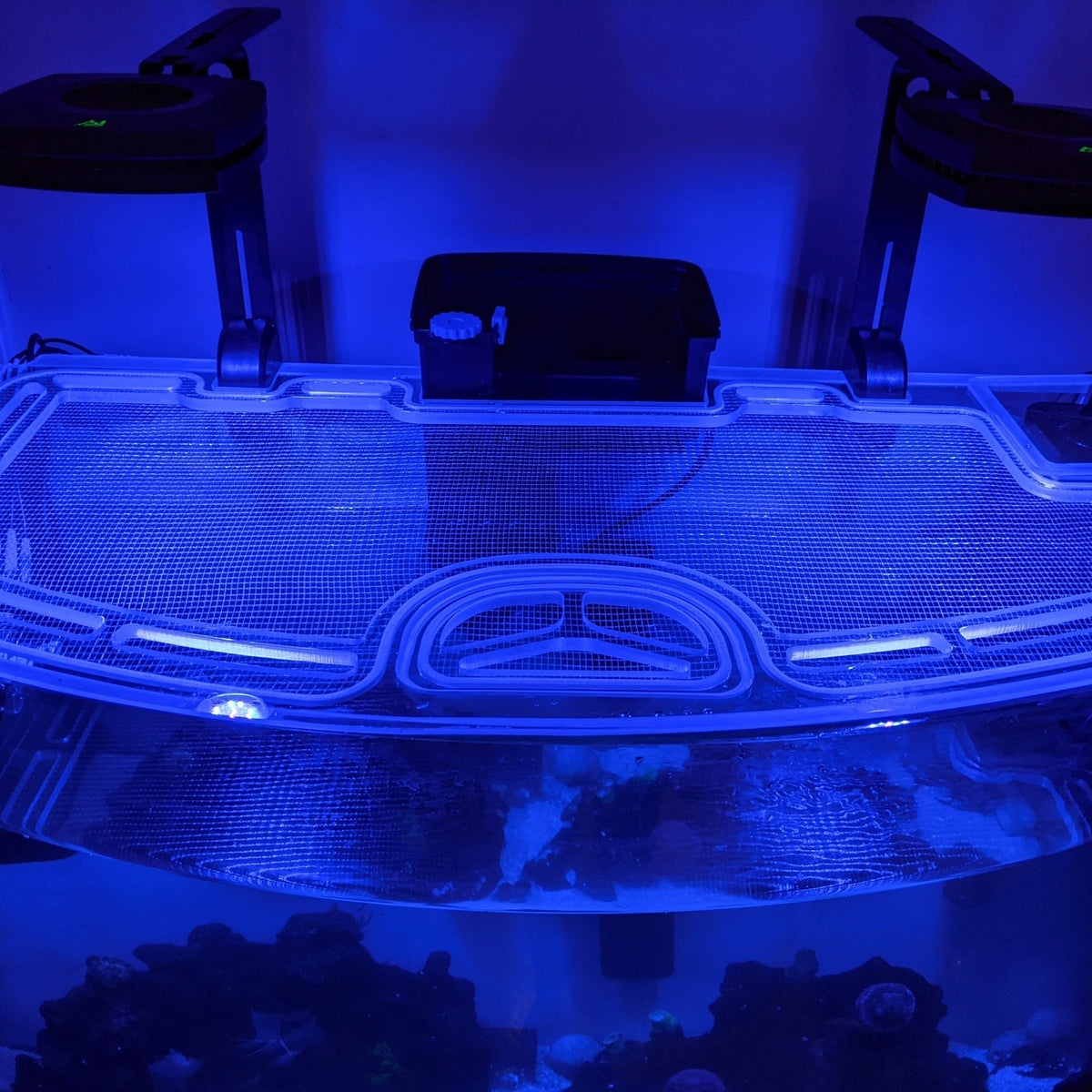 Top Fin 36 Gallon Bowfront Rimless Version (no Black Frame) Aquarium ...